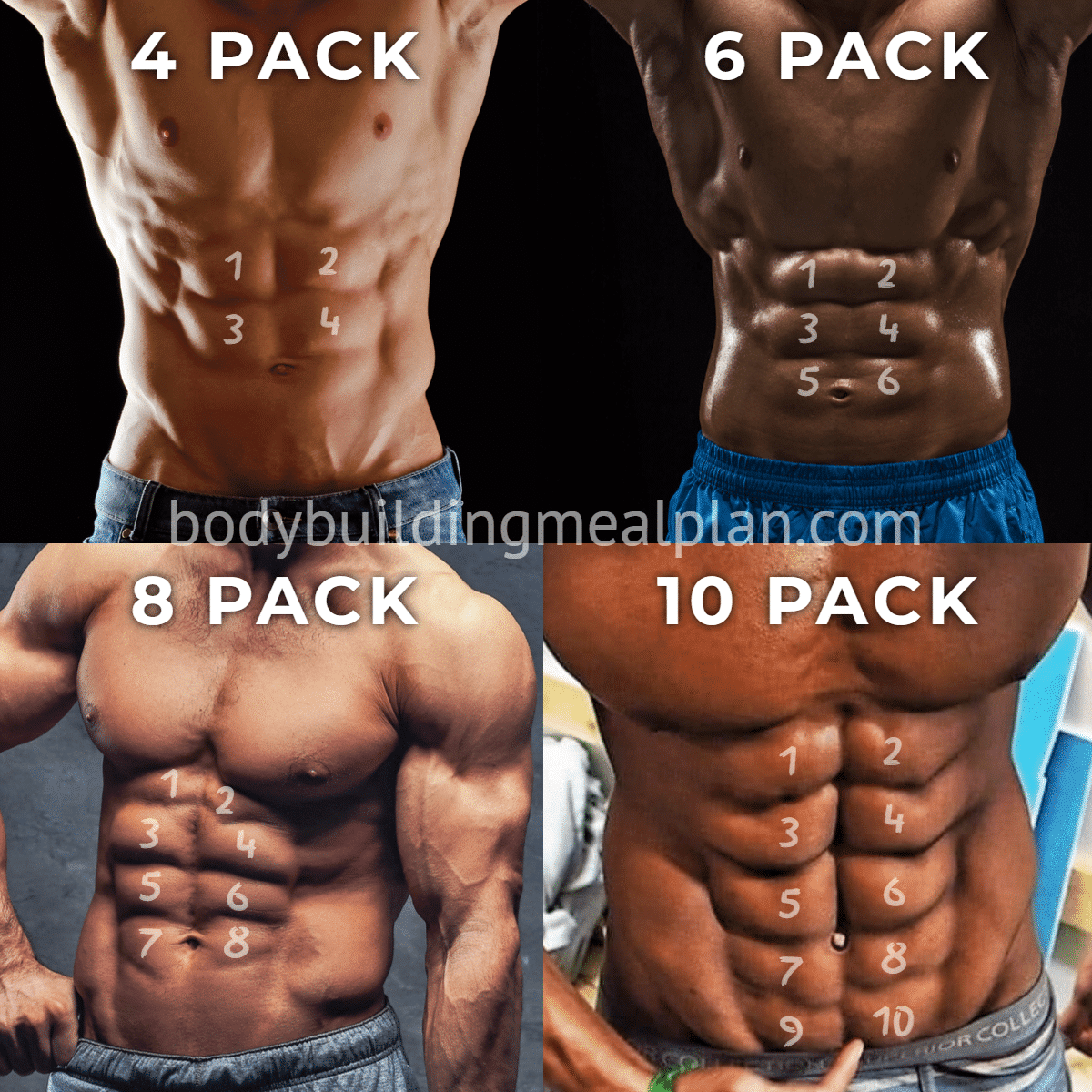 Disadvantages Of Six Pack Abs At Luis Silva Blog