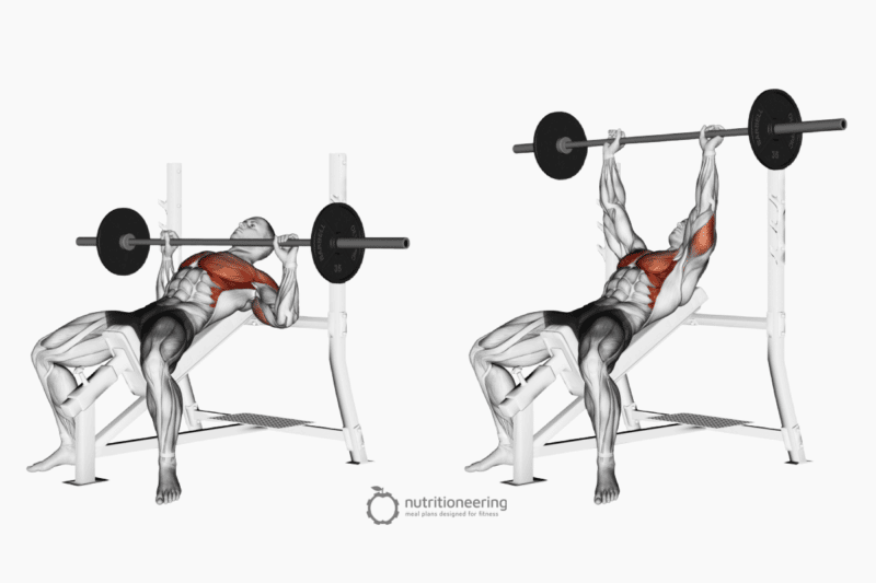 23 Anterior Deltoid Exercises for Shoulder Size & Strength ...
