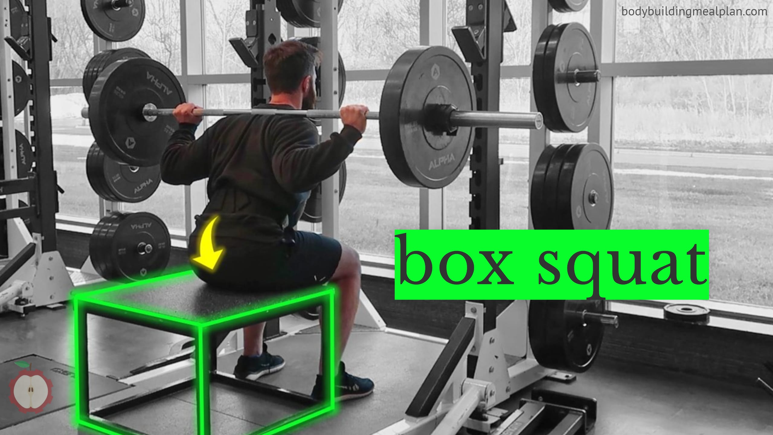7 Benefits Of Box Squats How To Box Squat Effectively Nutritioneering 7 Benefits Of Box Squats How To Box Squat Effectively Nutritioneering