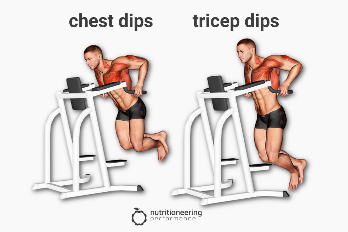 Seated Dips Vs Cabinets Matttroy Seated Dips Vs Cabinets Matttroy