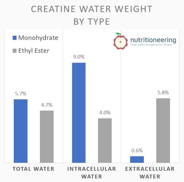 Creatine HCL vs Monohydrate - Which Is Better For You