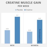 Does Creatine Make You Gain Weight? Body Composition Analysis