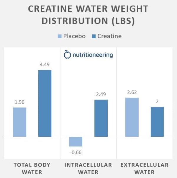 Does Creatine Make You Gain Weight? Body Composition Analysis