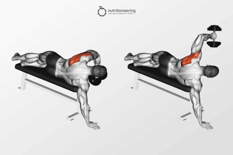 23 Posterior Deltoid Exercises (With Videos & Pictures)