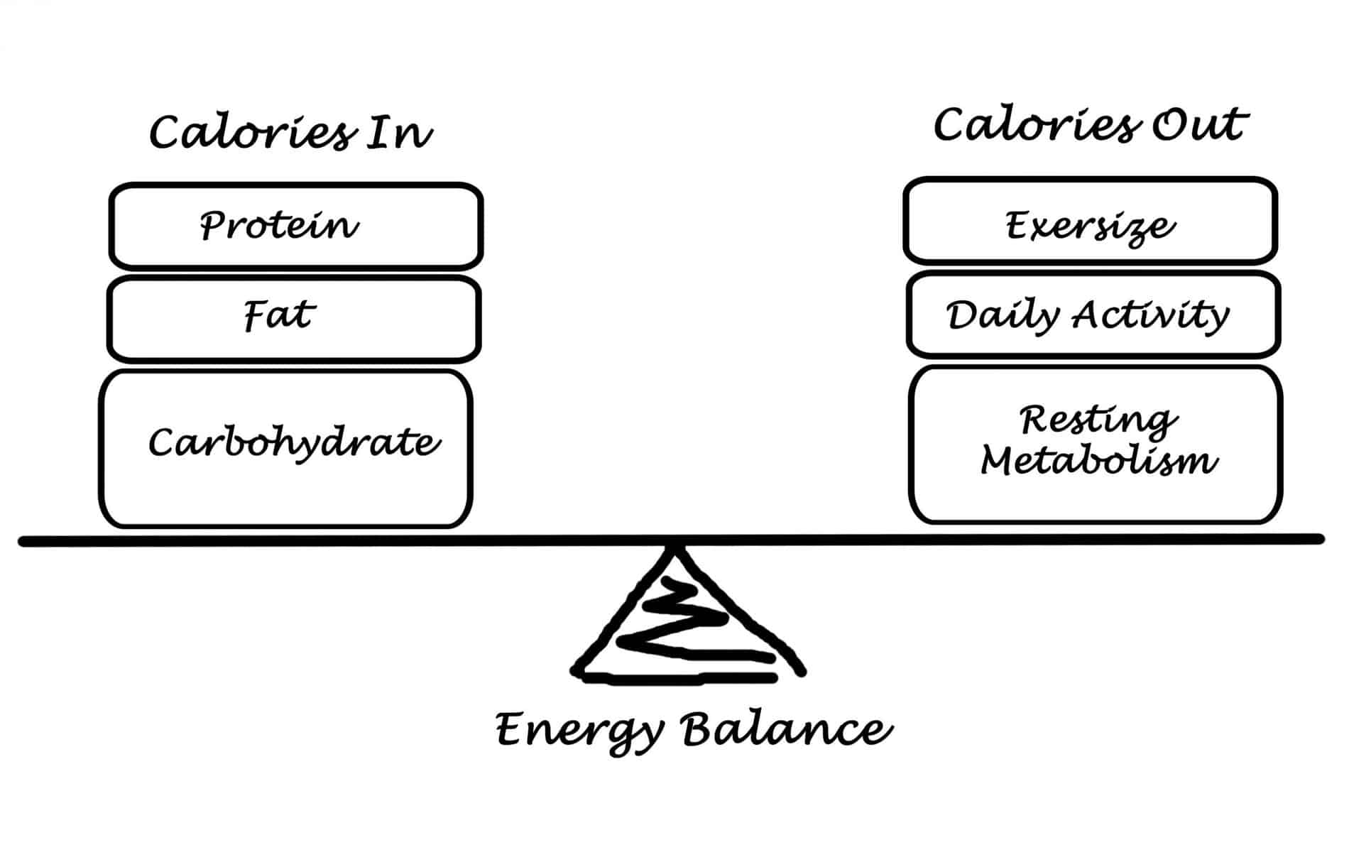 Best Maintenance Calorie Calculator For Finding Energy Balance Best Maintenance Calorie Calculator For Finding Energy Balance