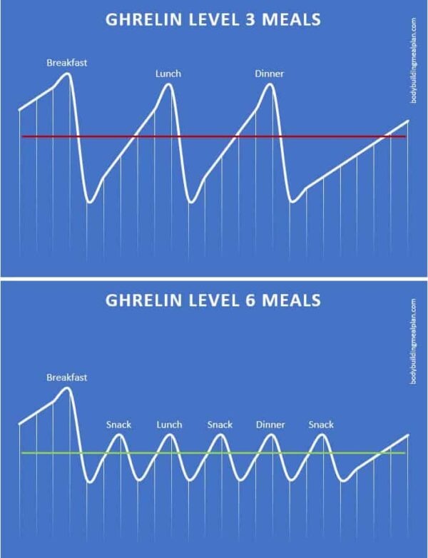 Ghrelin: 7 Simple Ways to Reduce Hunger & Burn More Fat