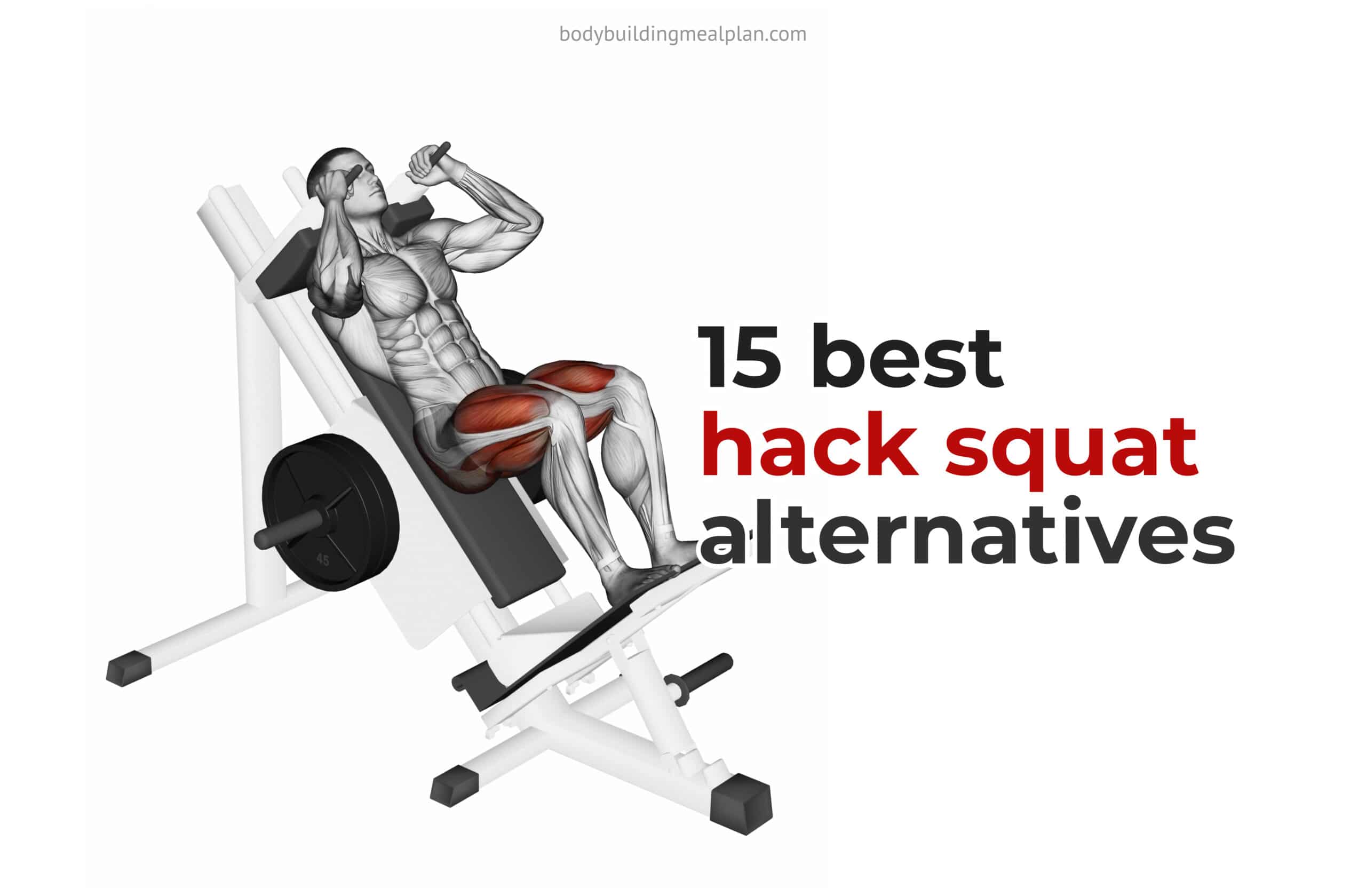 15 Hack Squat Alternatives To Blast Quads Without A Hack Squat Machine 15 Hack Squat Alternatives To Blast Quads Without A Hack Squat Machine