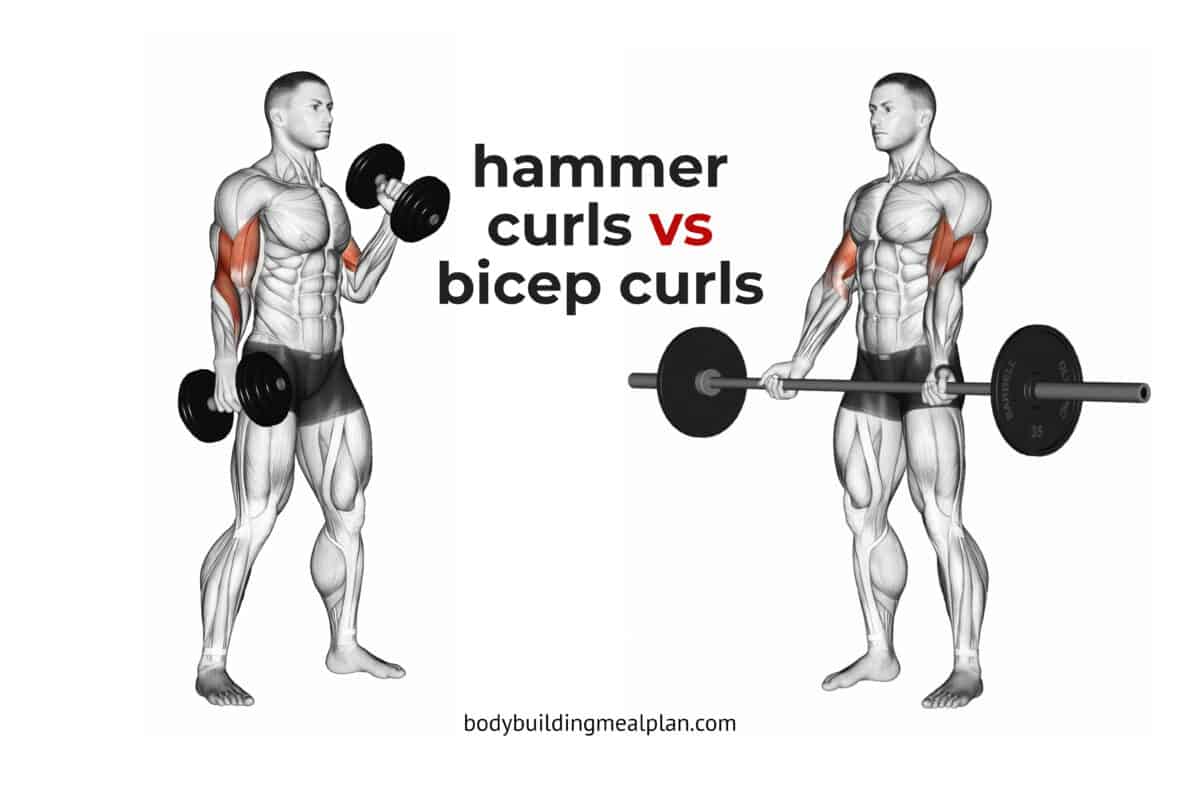 Hammer Curls Vs Bicep Curls How To Build Biceps Width Peak