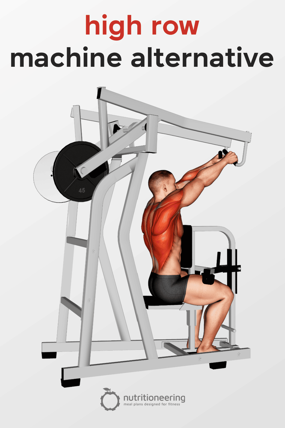 High Row Machine Alternatives for Any Gym | Nutritioneering