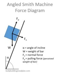 Engineer Answers: How Much Does the Smith Machine Bar Weigh?
