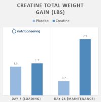 Does Creatine Make You Gain Weight? Body Composition Analysis