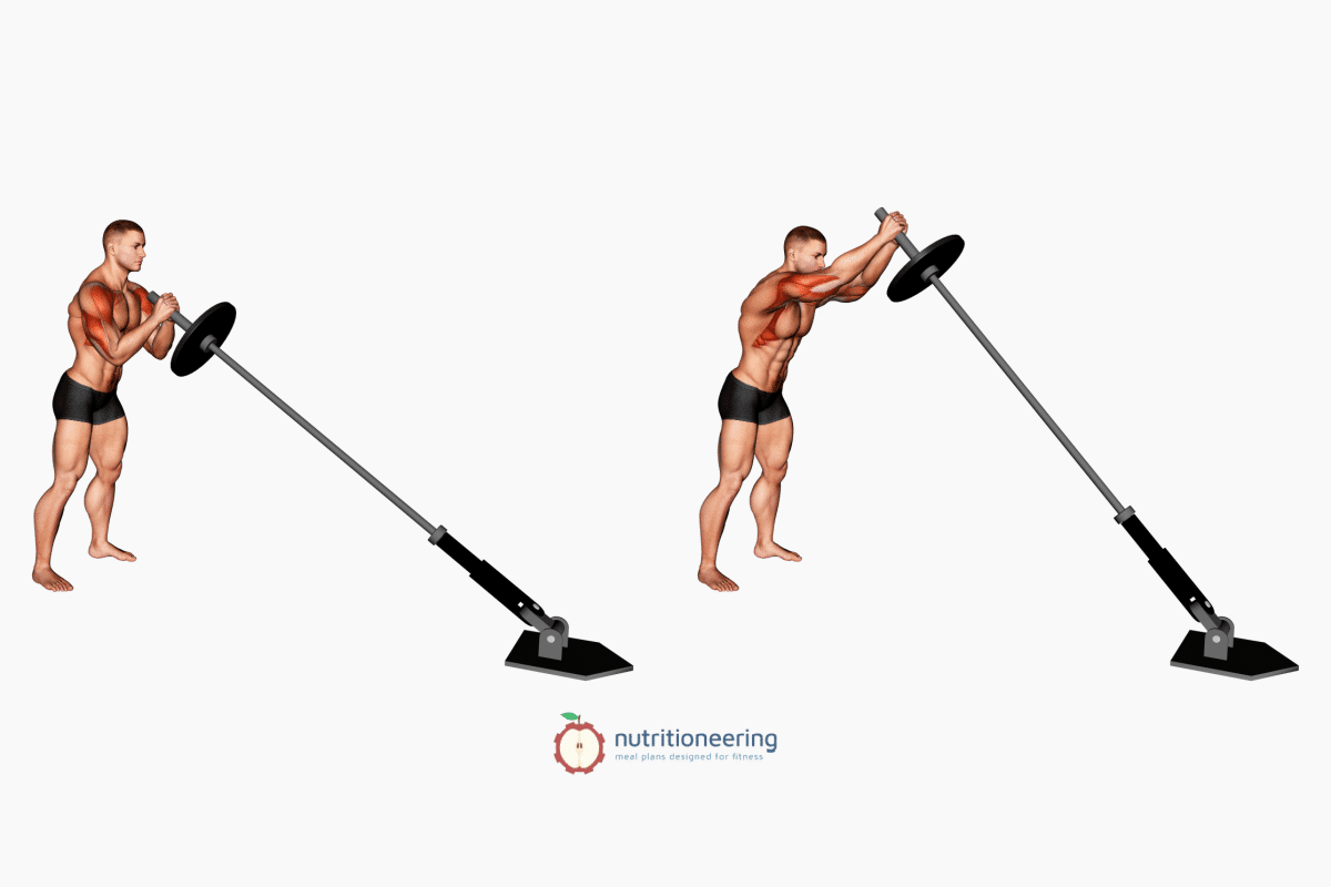 11 Barbell Chest Exercises With Or Without Bench Nutritioneering 11 Barbell Chest Exercises With Or Without Bench Nutritioneering