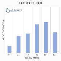 13 Top Lateral Head Tricep Exercises for Chiseled Arms