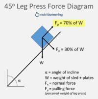 How Much Does A Leg Press Weigh Without Plates (Sled Only)?