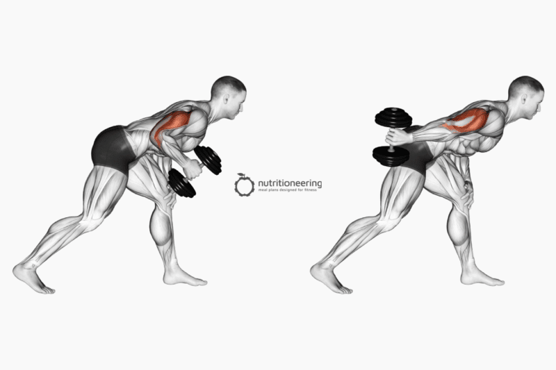 List Of 40 Best Push Day Exercises For Upper Lower Body