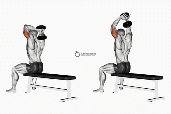 13 Top Lateral Head Tricep Exercises for Chiseled Arms | Nutritioneering