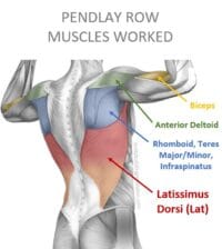 Pendlay Row vs Bent Over Barbell Row For Back Strength