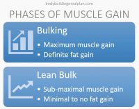 Creating A Calorie Surplus for Muscle Gain (Bulk or Lean Bulk)