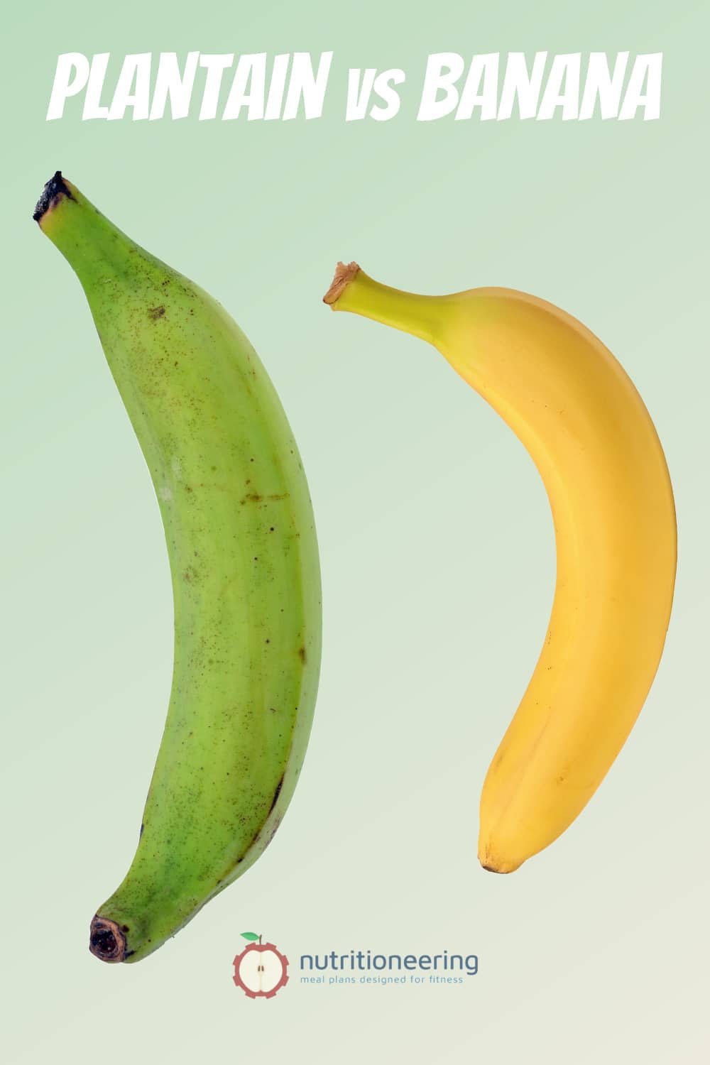 Plantains Banana Plantains Banana