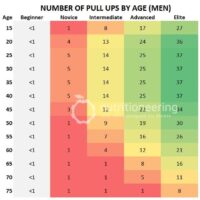 Pull Up Calculator: How Many Pull Ups You Should Be Able to Do