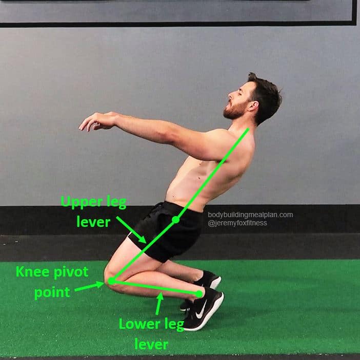 Sissy Squat Ultimate Guide Biomechanics Benefits Video Variations