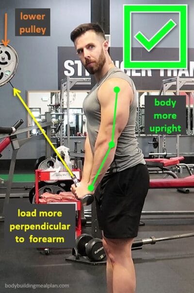 13 Long Head Tricep Exercises for Maximum Arm Mass