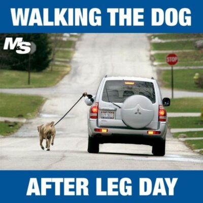 55+ Leg Day Memes Worthy Of Sharing With Your Followers
