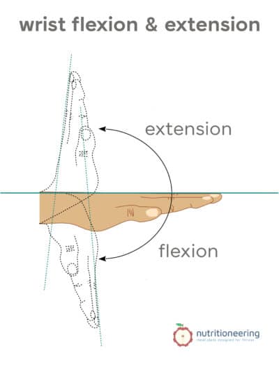 Simple Wrist Curls Technique for Bigger Forearms Fast
