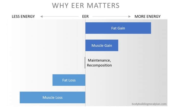 Most Accurate Bulking Calorie Calculator | Nutritioneering