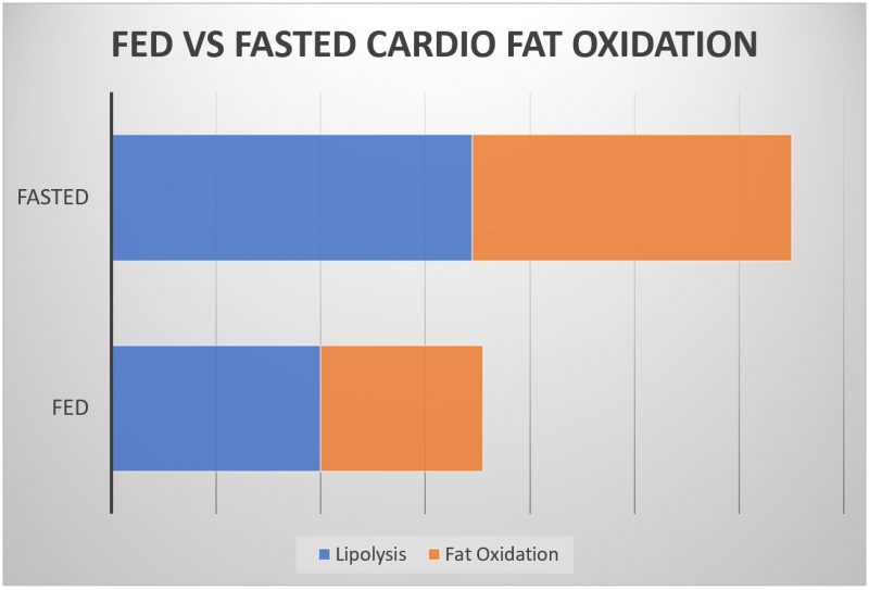 Bulk vs Cut - How to Choose the Right Fitness Goal (With Quiz)