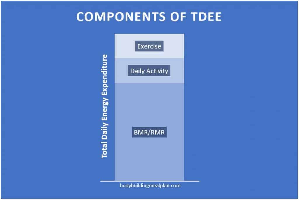 Free TDEE Calculator Find Out How Many Calories You Burn